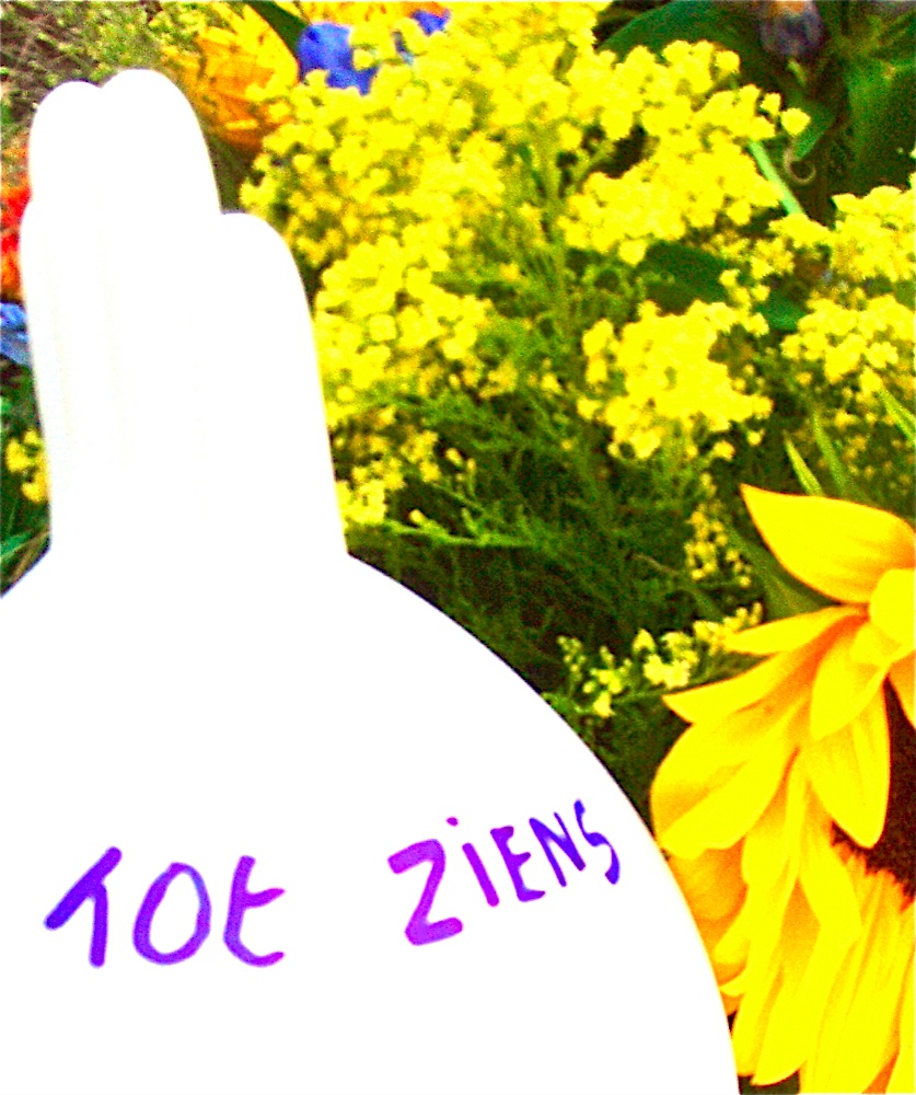 Dr Komar - Fotogalerij